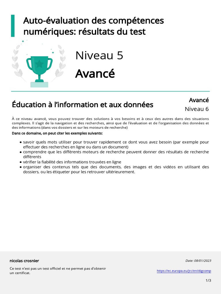 Rapport Sur Les Compétences Numériques | PDF | Programmation ...