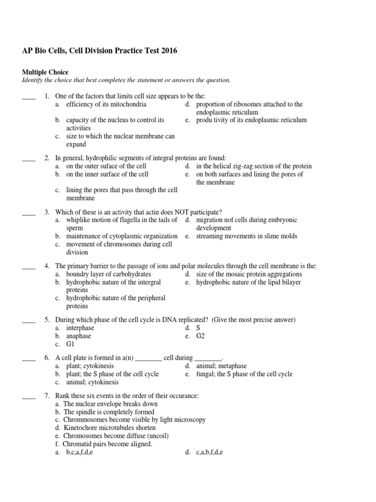 Cell Division - Multiple Choice | PDF | Cell Membrane | Cell (Biology)