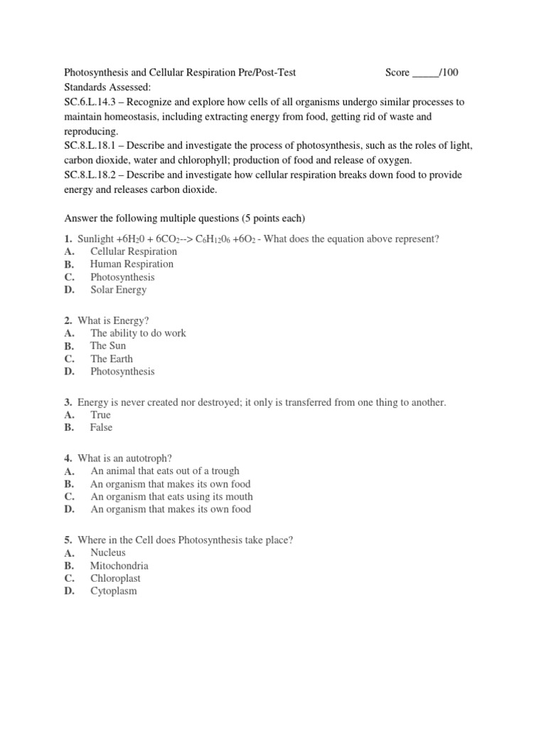 Photosynthesis - Cellular Respiration Worksheet | PDF