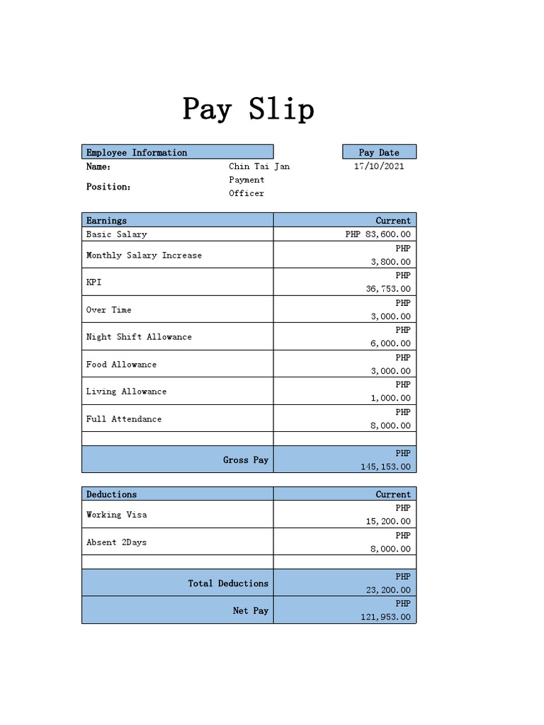 Pay Slip | PDF