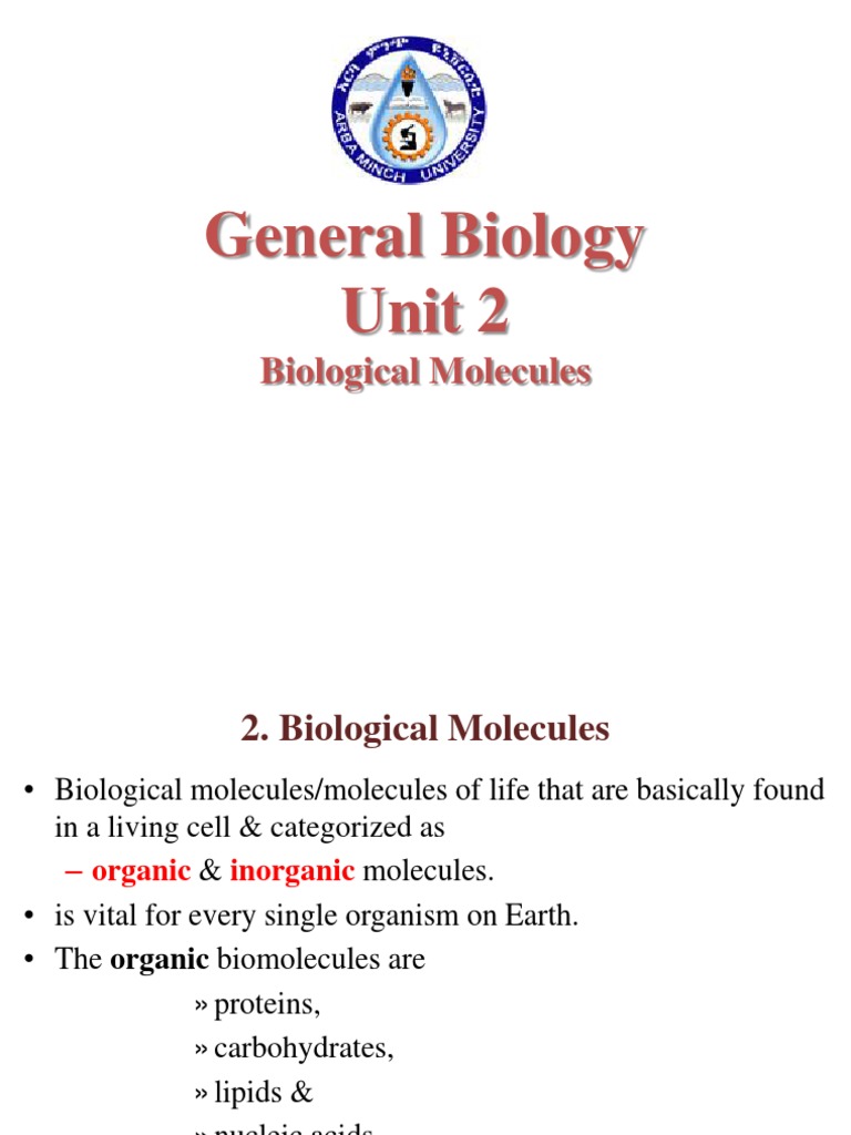 Unit 2 Biological Molecules | PDF | Carbohydrates | Lipid