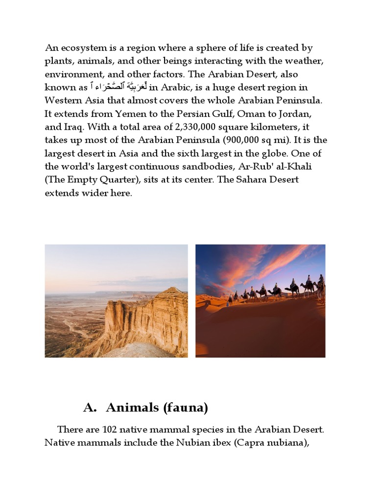 An Ecosystem Is A Region Where A Sphere of Life Is Created by Plants ...