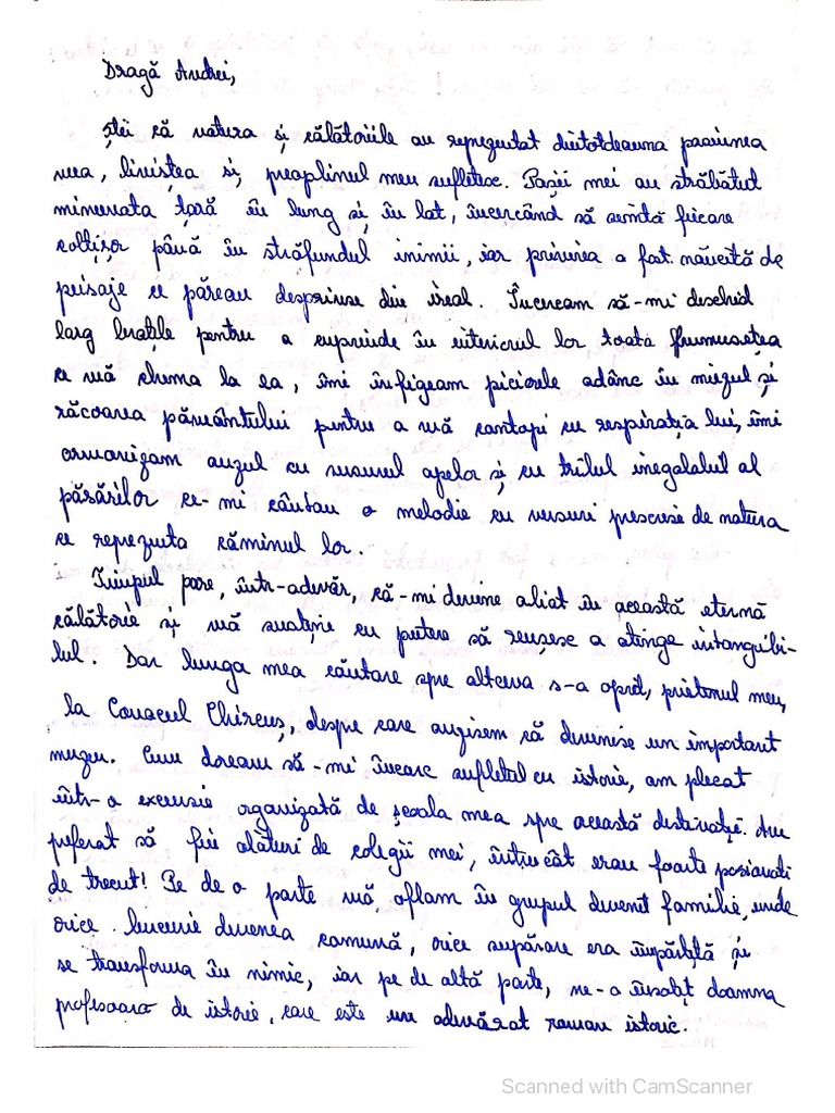 Compunere-Test 8 | PDF