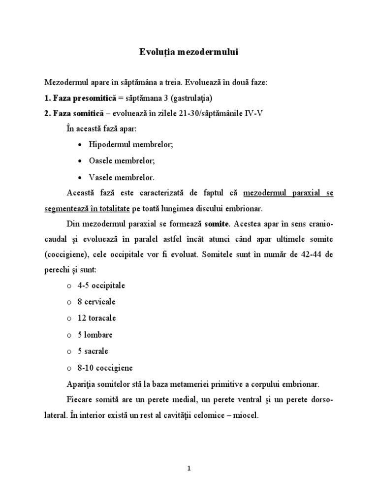 Curs 6 - Etapa Presomitica. Dezvoltarea Membrelor. Perioada Fetala ...
