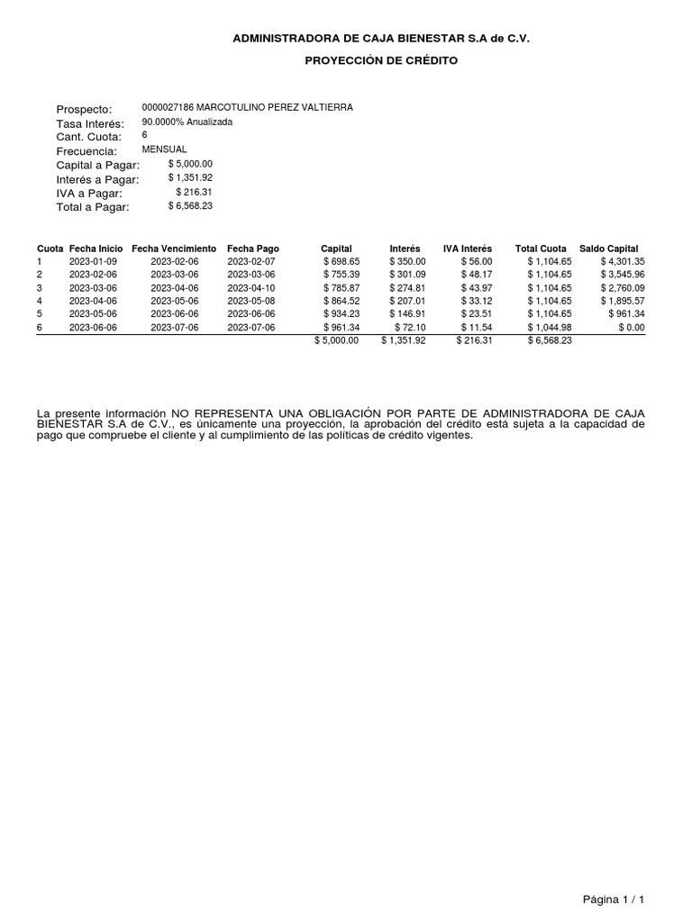 Reporte Plan Pagos | PDF