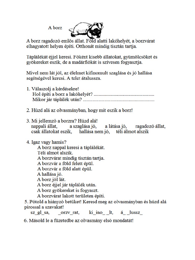 Borz | PDF