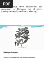 Microscopy of Fennel Fruit | PDF