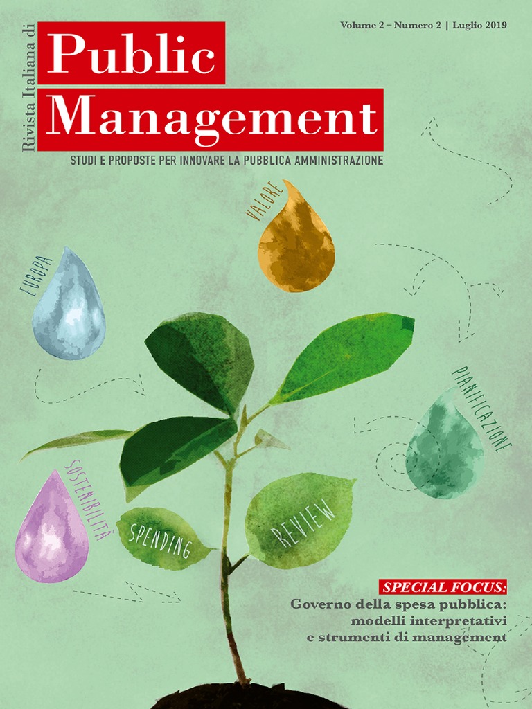 Rivista Public Management | PDF