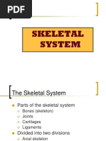 Skeletal System Anatomy Lecture PDF | PDF | Bone | Skeleton