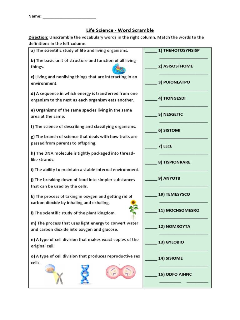 Life Science Vocabulary Word Scramble | PDF | Organisms | Biology