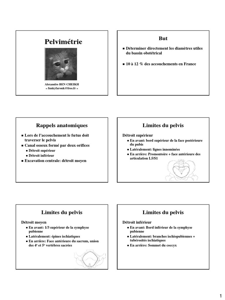 Pelvimétrie : Techniques et Indications | PDF | Bassin (anatomie ...