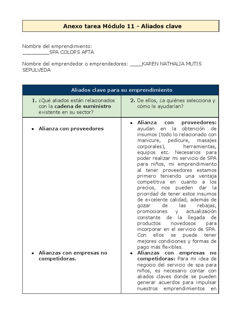 Anexo Tarea Módulo 11 - Aliados Clave | PDF | Iniciativa empresarial ...