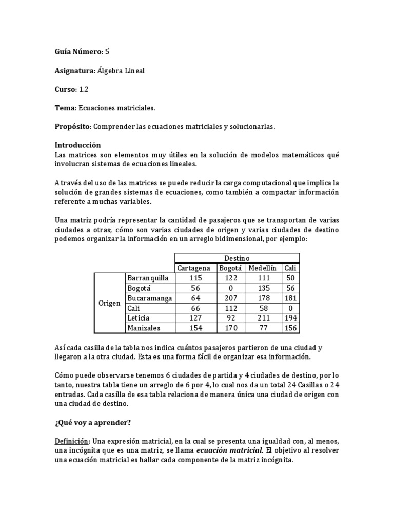 Guía 5 (Matrices. Parte II) | PDF | Matriz (Matemáticas) | Ecuaciones