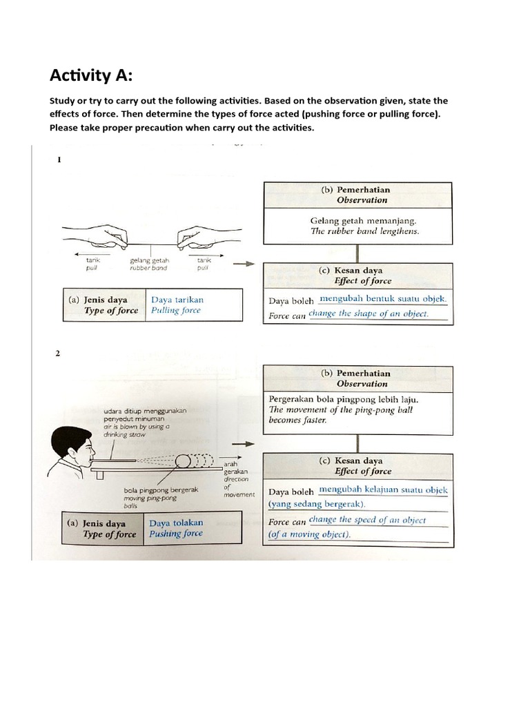 Forces Worksheet for Grade 8 | PDF