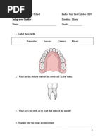Integrated Studies Grade 3 Term 1 | PDF | Tooth | Anatomy