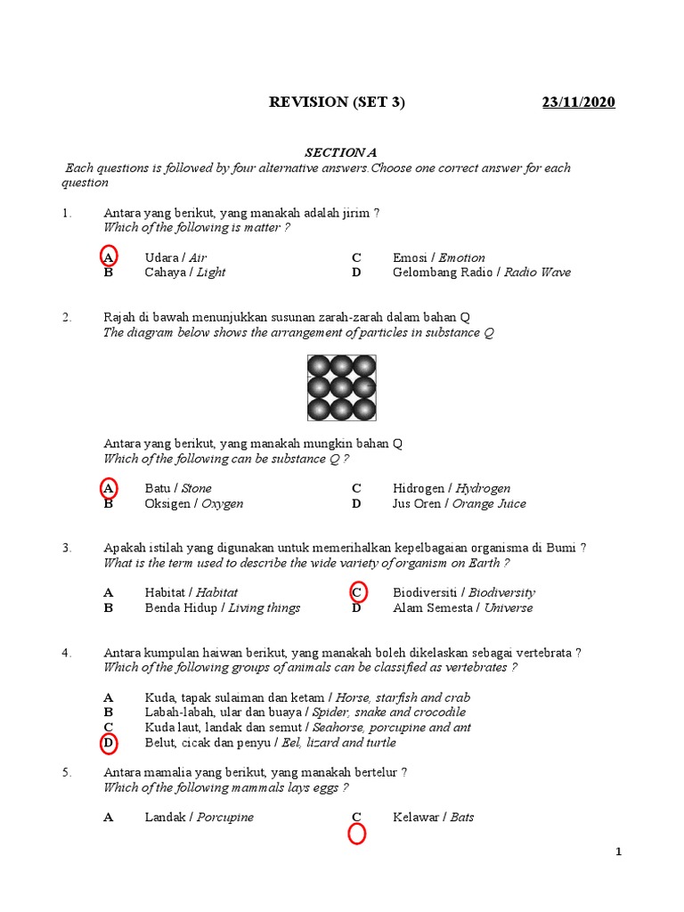 Revision (Set 3) | PDF