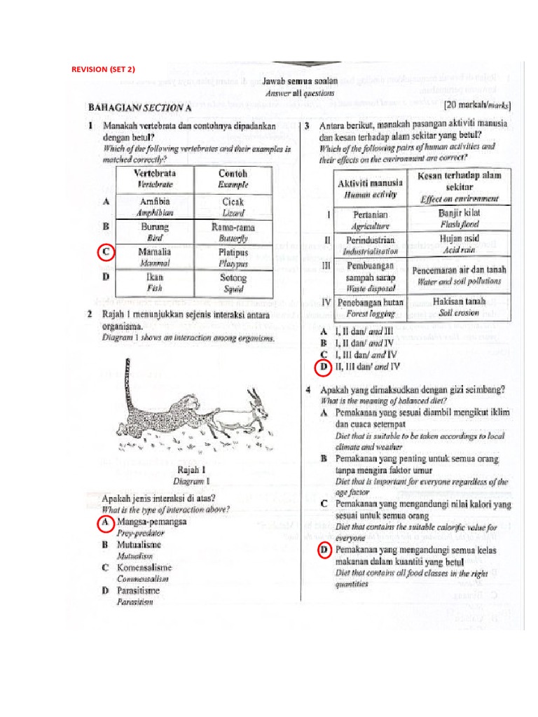 Revision (Set 2) - Answer | Download Free PDF | Friction
