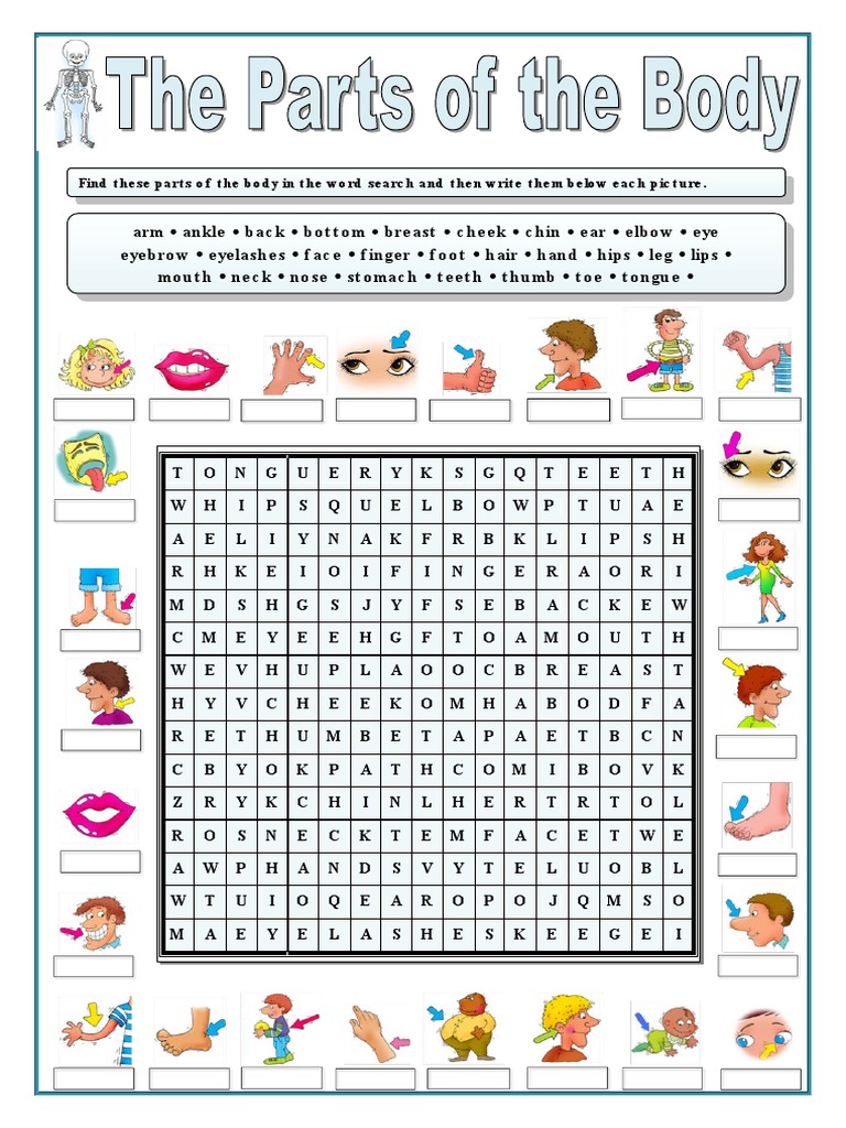 Body Parts Word Search Puzzle | PDF
