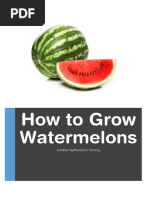 Watermelon Farming Guide | PDF | Watermelon | Soil