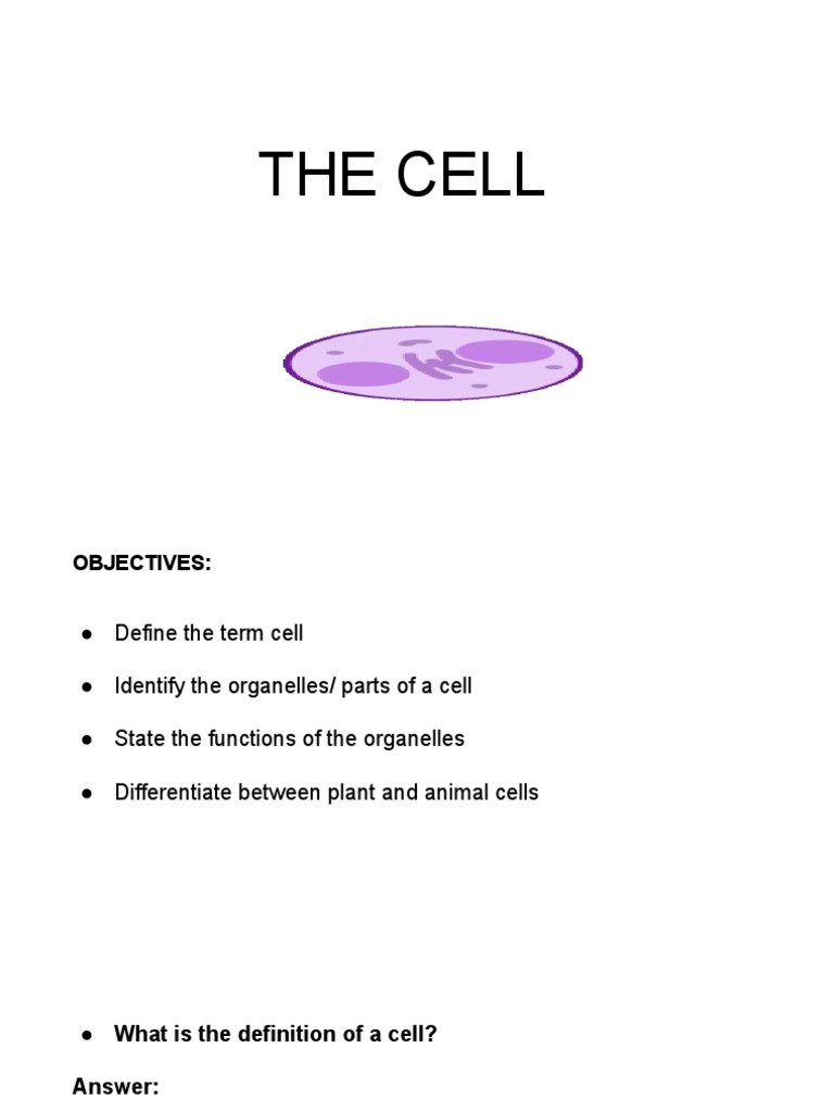 Biology - THE CELL | PDF