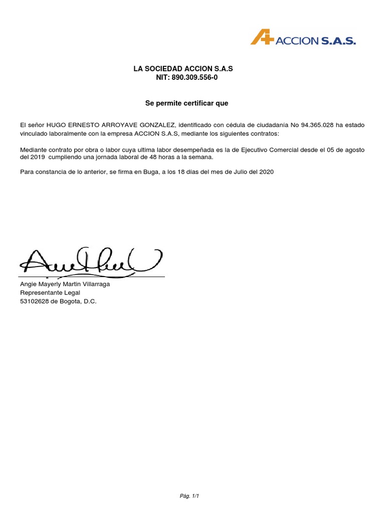 Carta de Accion Plus | PDF