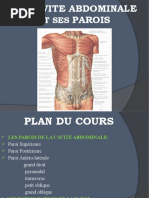 Anatomie de La Paroi Abdominale | PDF | Péritoine | Abdomen