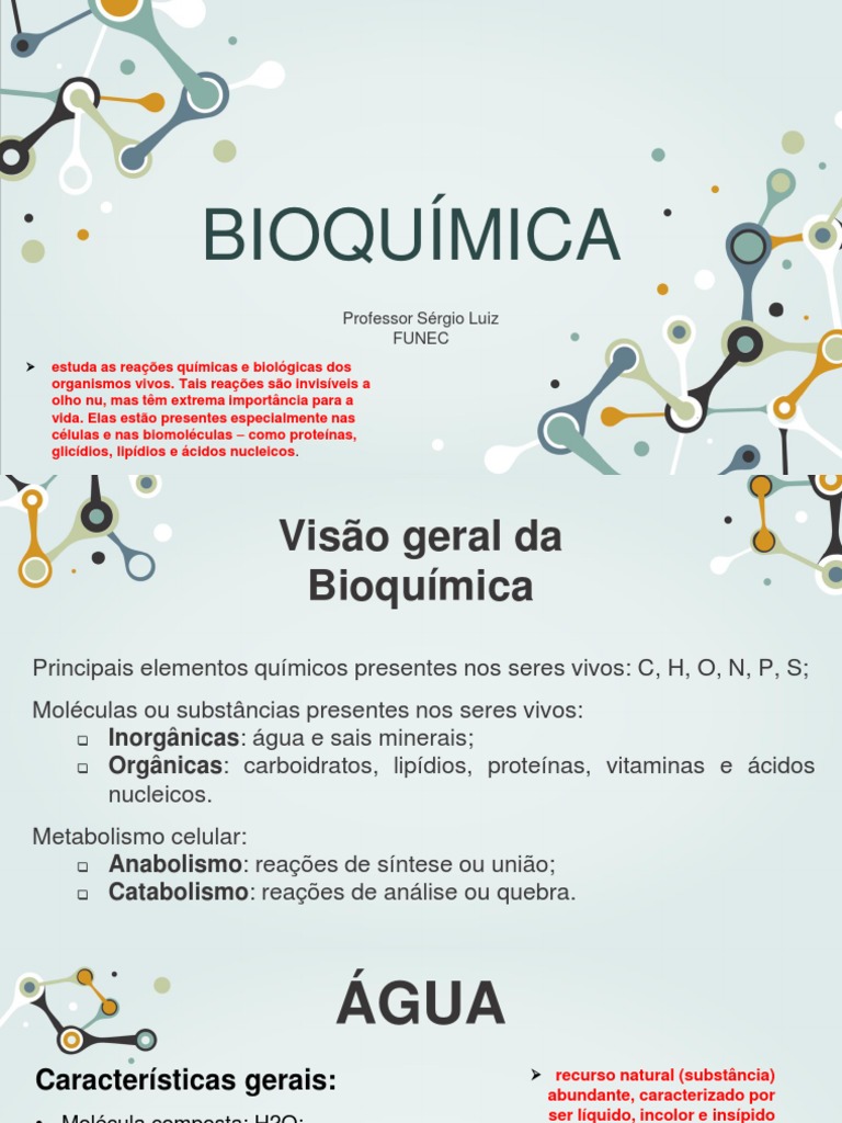Visão geral da Bioquímica: moléculas essenciais, reações metabólicas e ...
