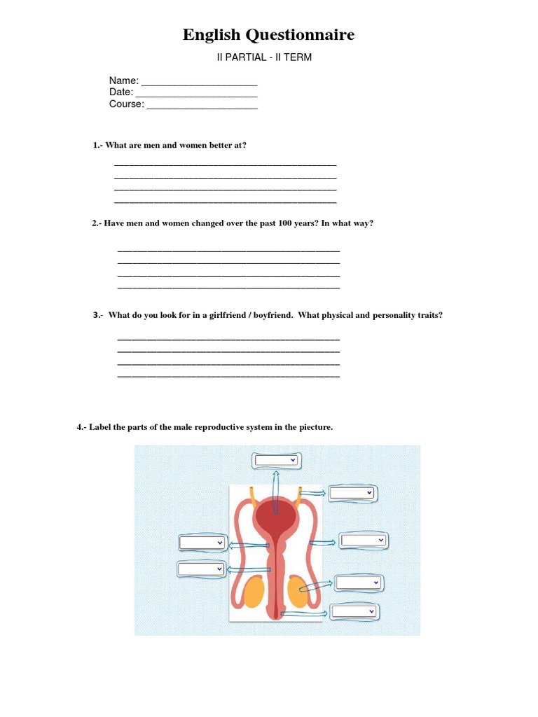 English Questionnaire BACH | PDF