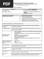 BTS MCO 2024 - Compte-Rendu D'activite - ADOC E42 - Annexe 9 | PDF