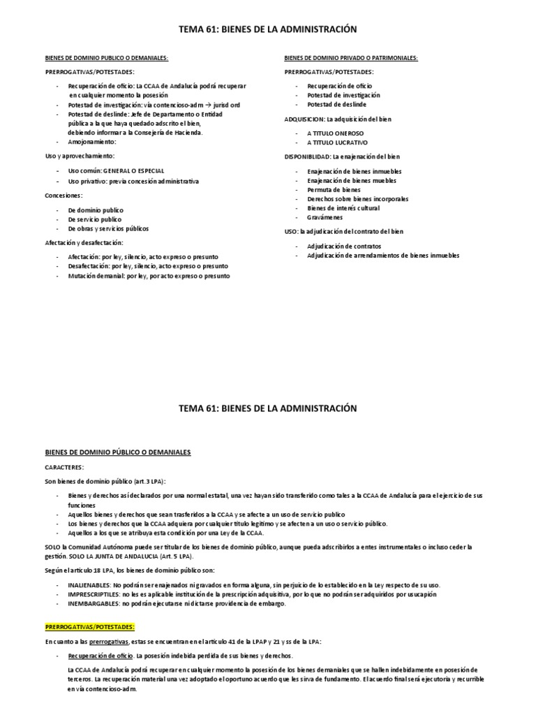 Esquema Bienes de Dominio Publico y Patrimoniales | PDF | Propiedad | Bienes