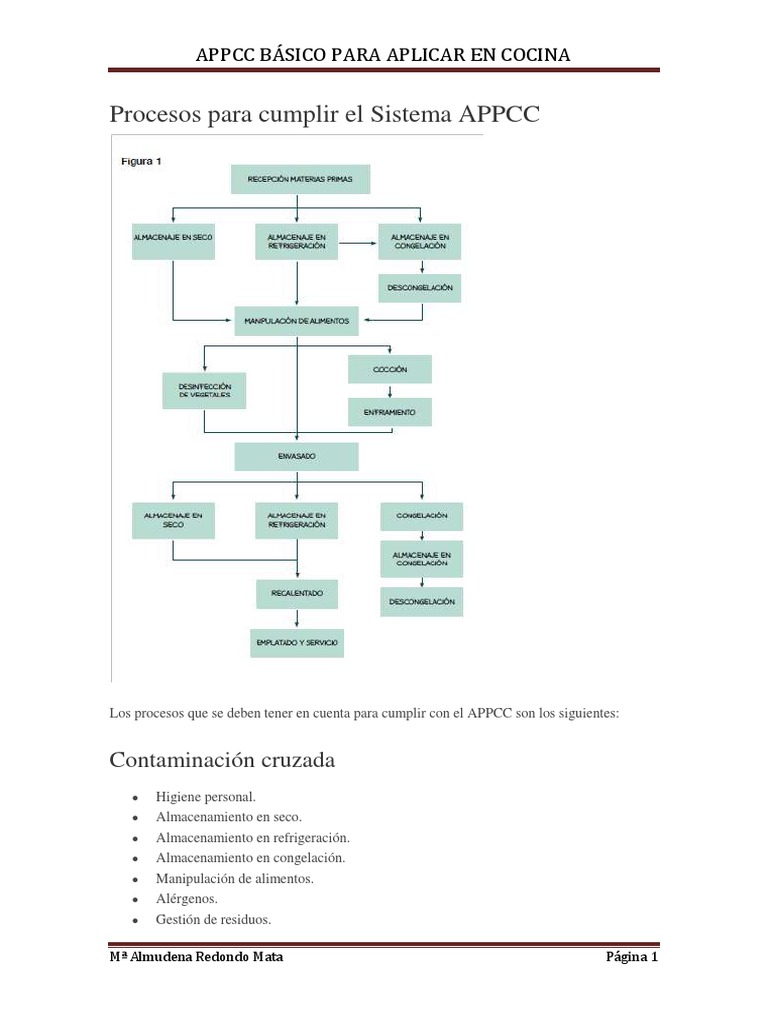 Appcc Basico Cocina | PDF | Alimentos | Análisis de Riesgo y Puntos ...