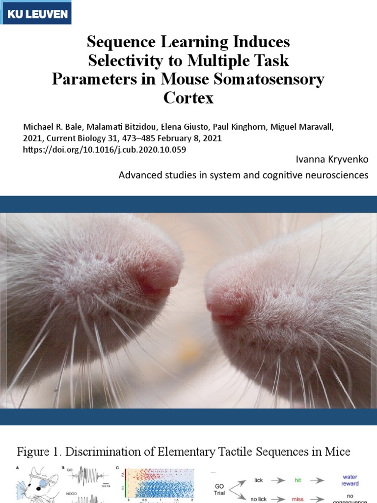 Sequence Learning Induces Selectivity To Multiple Task Parameters in ...