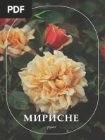 Ruze Topalovic Katalog | PDF