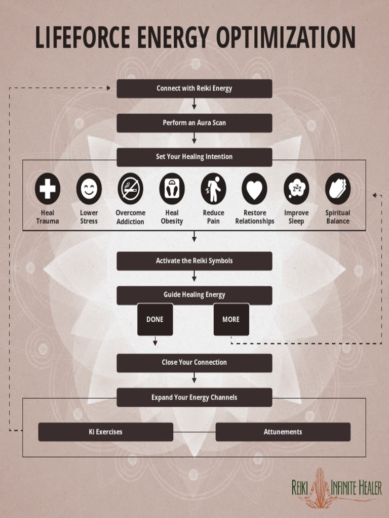 Life Force Energy Optimization Diagram | PDF