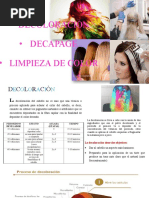 Documento 4 B Decoloración Capilar | PDF | Pelo | Color