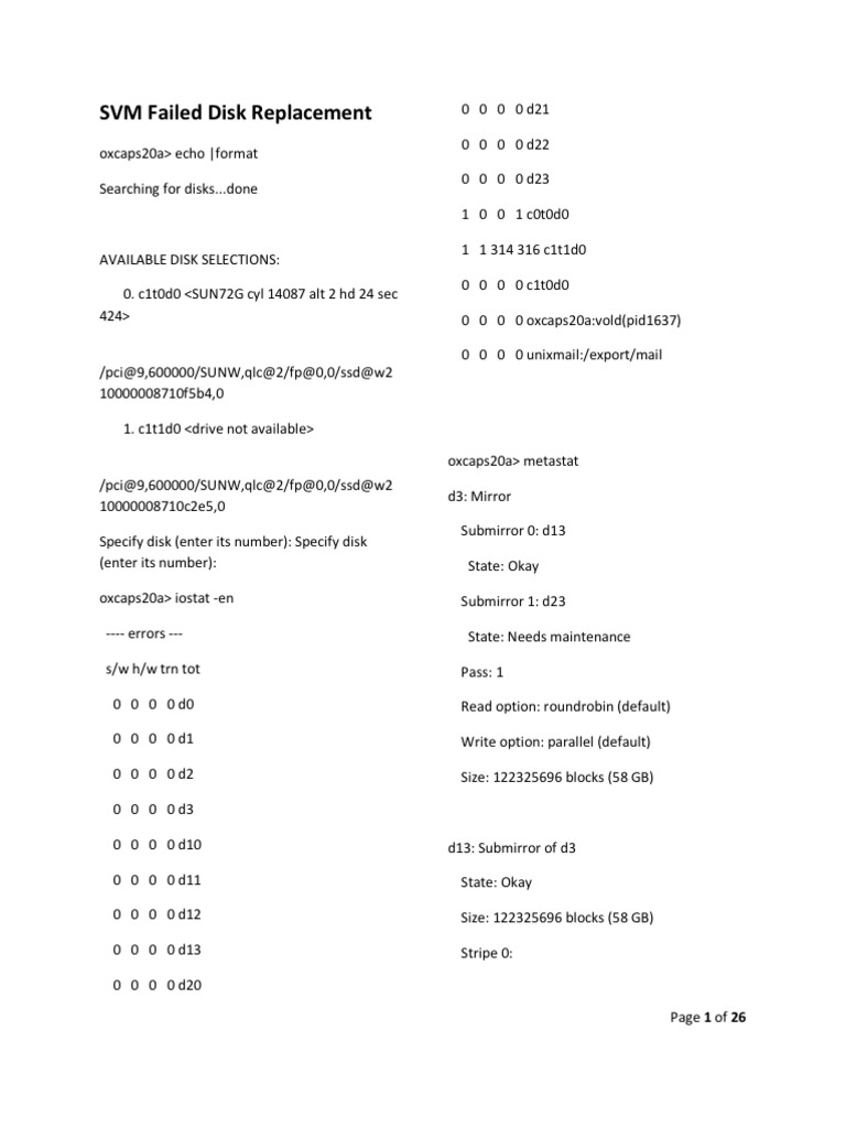 SVM Failed Disk Replacement | PDF