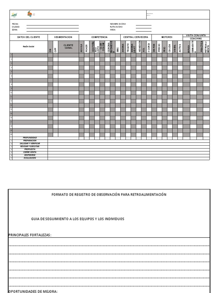 Formato Medicion de Campo Diario CCC | PDF