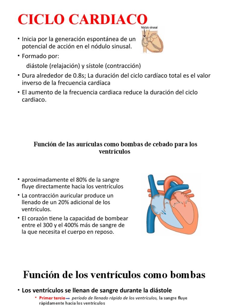 Ciclo Cardiaco Guyton y Hall | PDF | Corazón | Ventrículo (corazón)