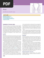 AAST Injury Scoring Scale Overview | PDF | Heart | Common Carotid Artery