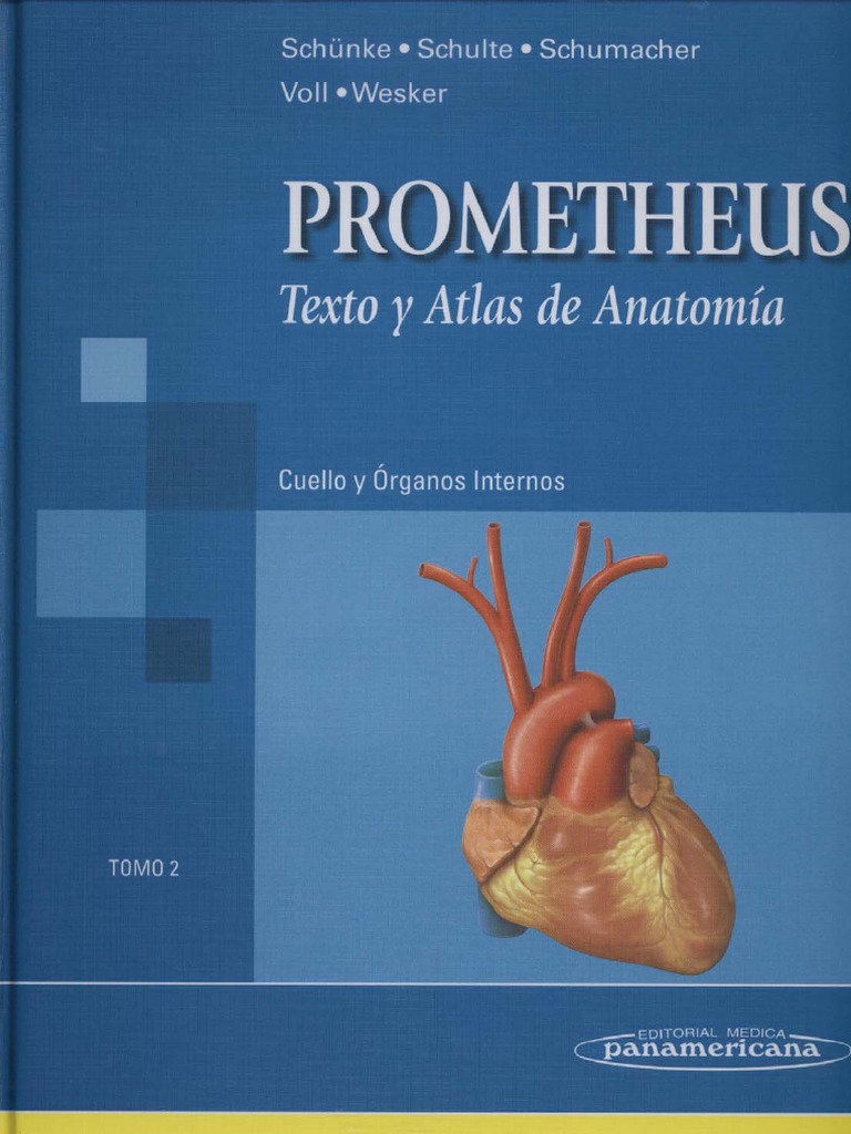 Anatomía Prometheus Tomo 2 | PDF