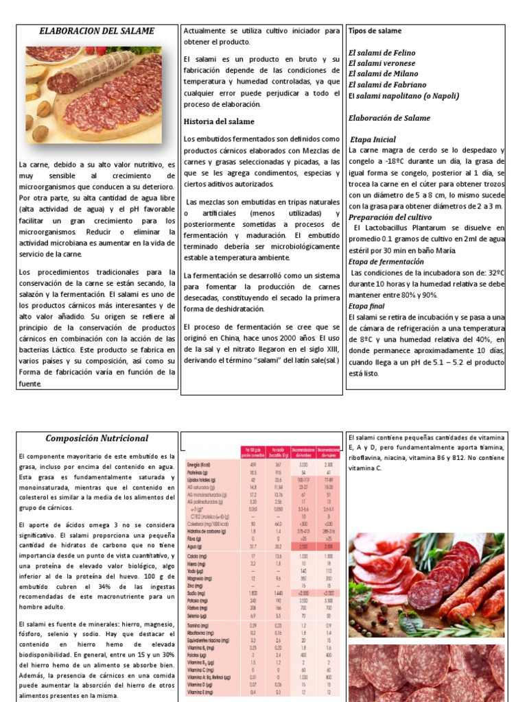 Elaboracion Del Salame Triptico | PDF | Carne | Alimentos