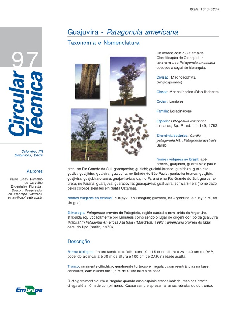 Circtec 97 | PDF | Madeira | Botânica