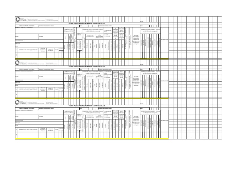 F1 Cintillo FICHA EVAL SALUD ESCOLAR | PDF
