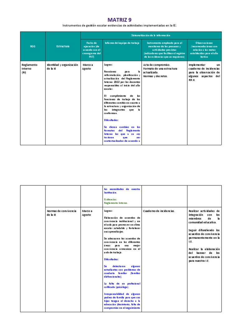 Matriz 9 Iigg - Rrii | PDF