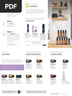 Build Guide Rank Planner doTERRA | PDF | Multi Level Marketing | Mentorship