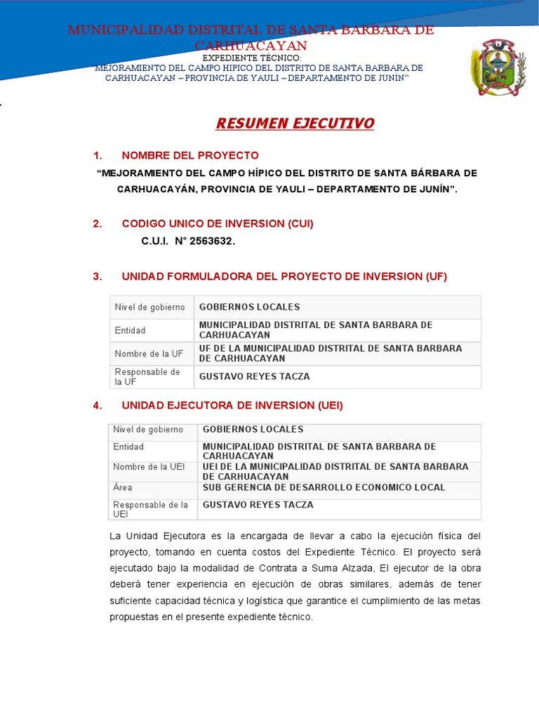 RESUMEN EJECUTIVO | PDF | Gobierno local | Economias
