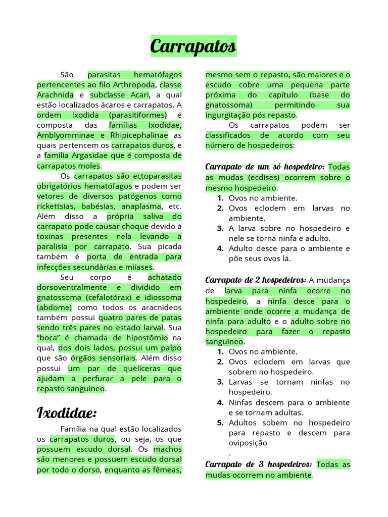 O ciclo de vida e características morfológicas e biológicas dos ...