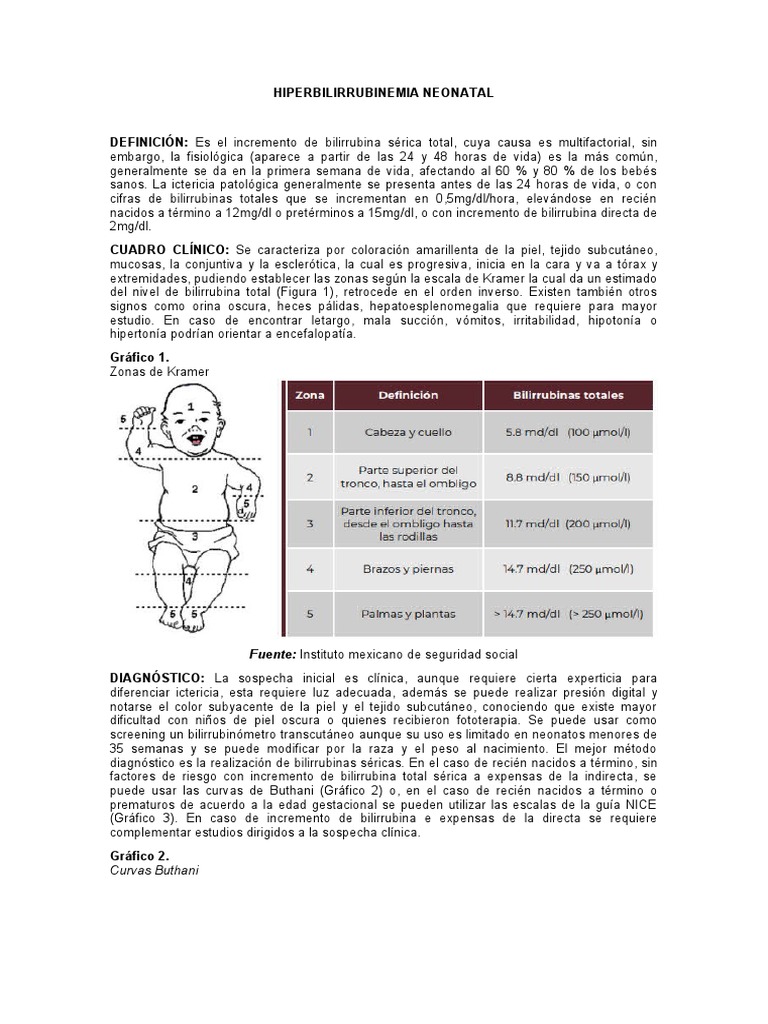 Hiperbilirrubinemia Neonatal | PDF