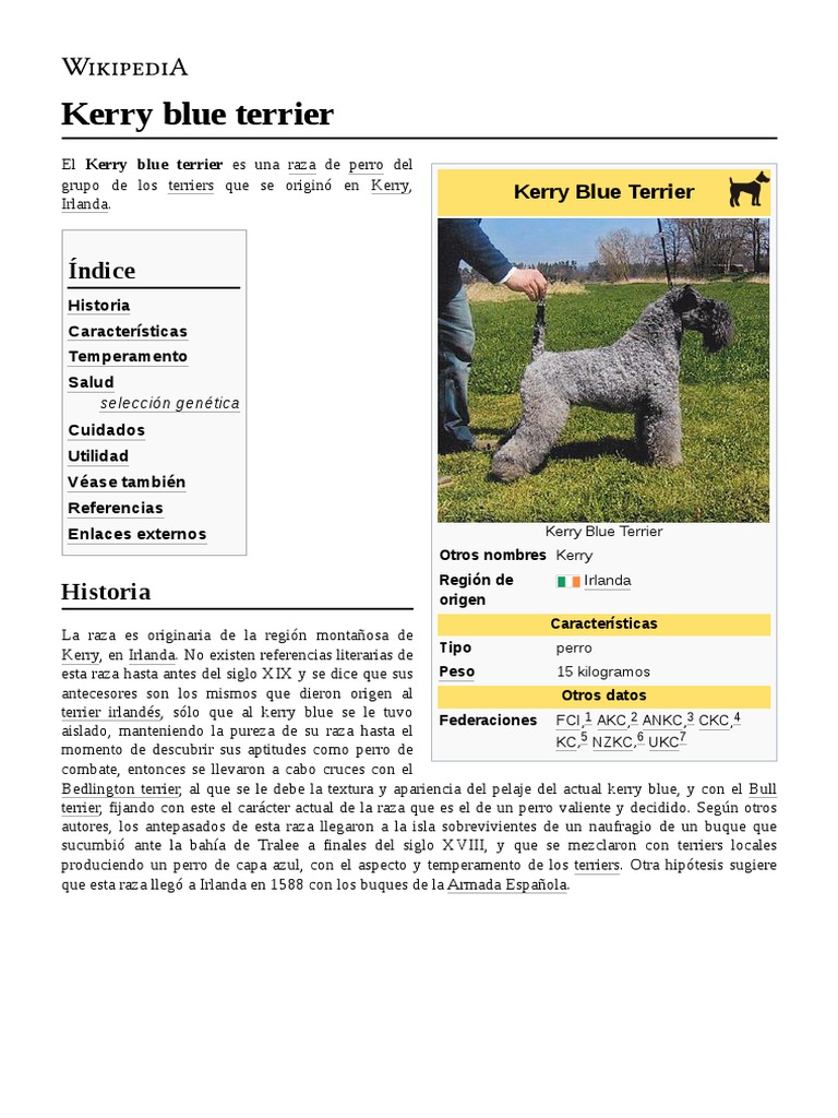 Kerry Blue Terrier | PDF | Perros de caza | Terriers