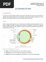 Anatomie Et Physiologie Pour Les Soins Infirmiers | PDF